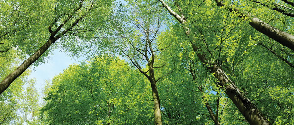 Rockline Industries | Wet Wipes and Coffee Filters Manufacturer